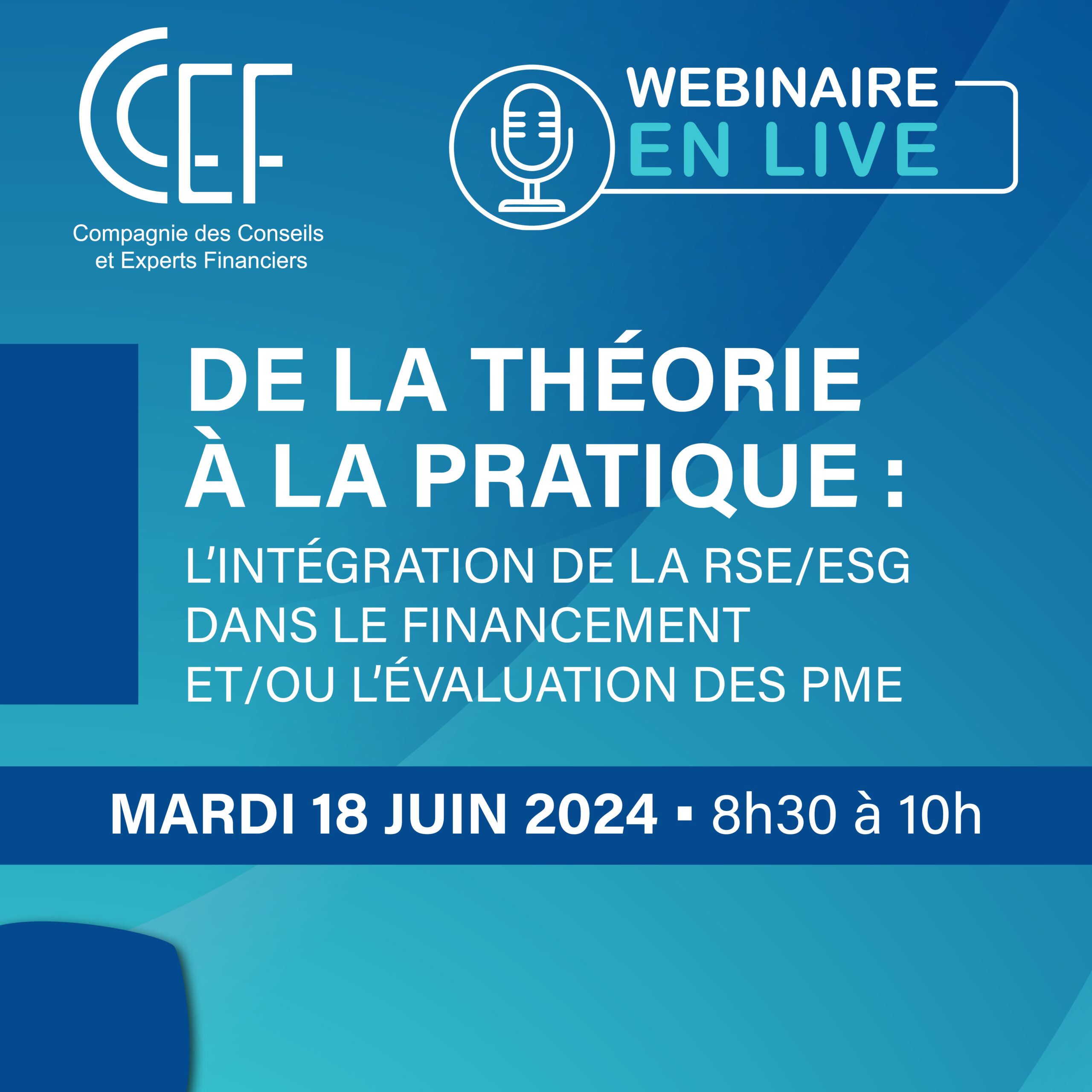 Webinaire Intégration de la RSE/ESG - Mardi 18 juin 2024 - CCEF